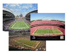 NFL Stadium Posters & Merchandise, Stadiums of Pro Football